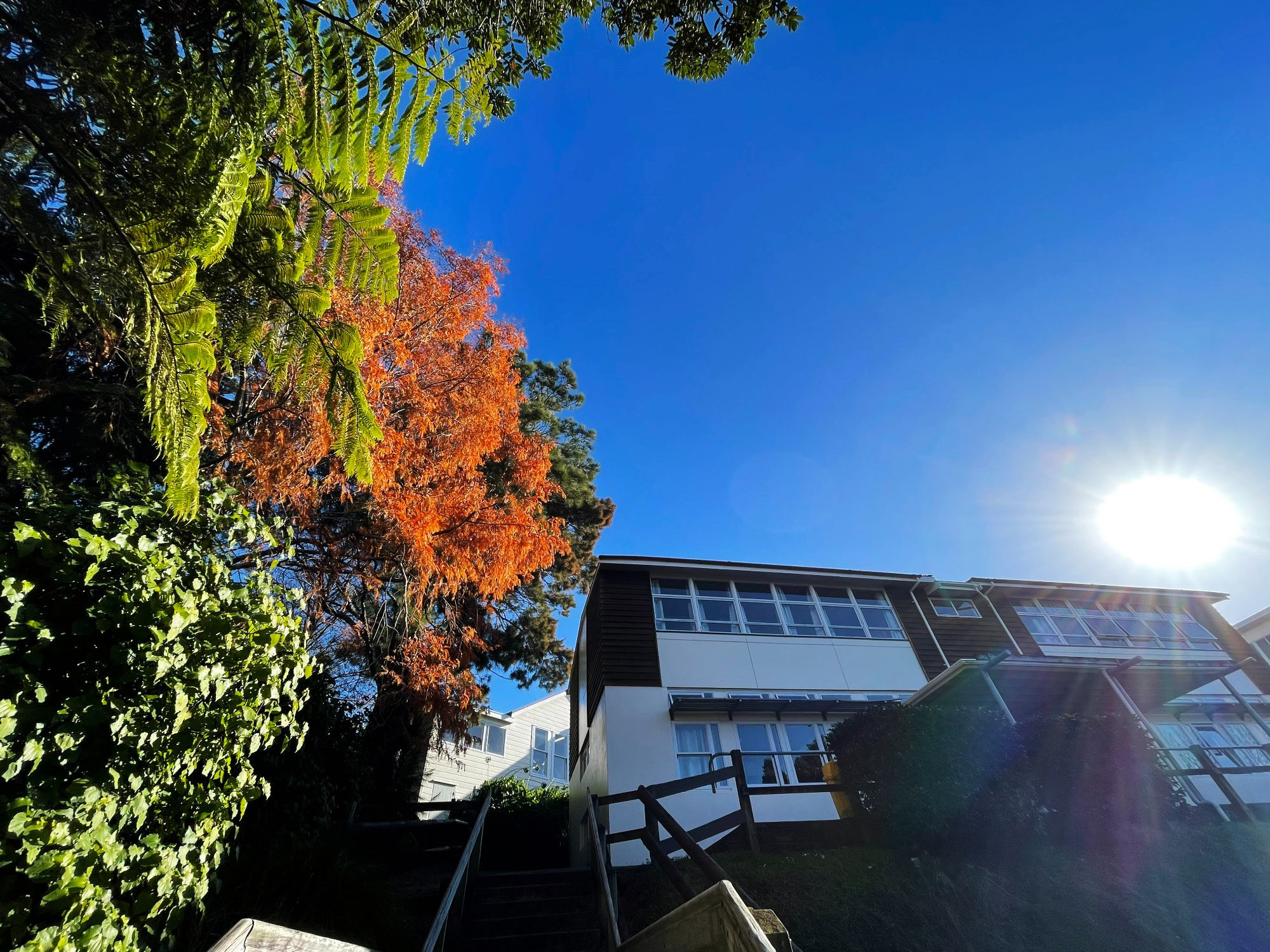 Deans - New Plymouth Boys High School